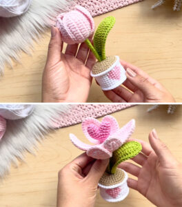 Crochet Tulip Flower: A Step-by-Step Guide - CrochetBeja