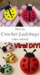 Crochet Ladybug: A Whimsical DIY - CrochetBeja
